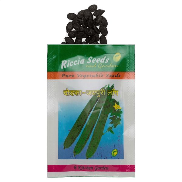 Ridge Gourd (Dodka/Luffa) – Jaipuri Long - Riccia Seeds and Garden