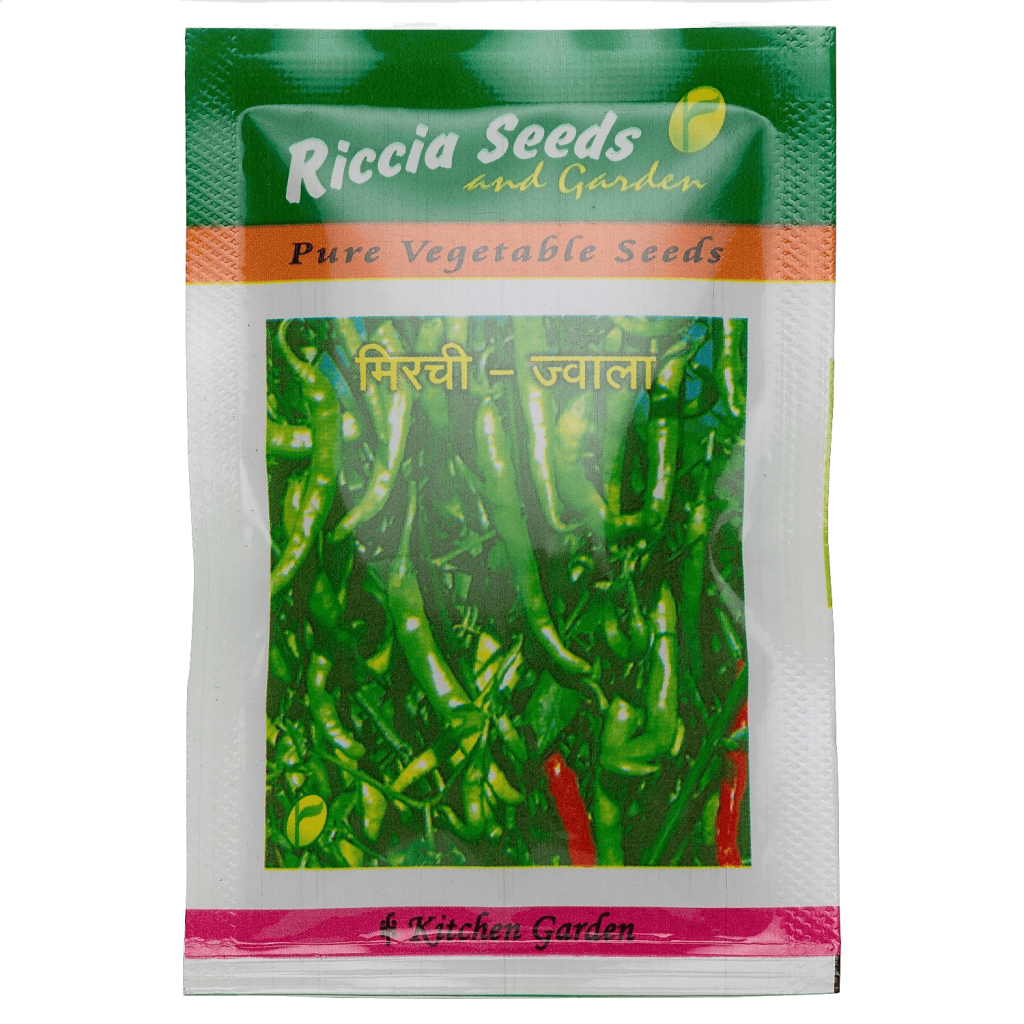 Chili (Mirchi/Chile Pepper) – Jwala Seeds - Riccia Seeds and Garden